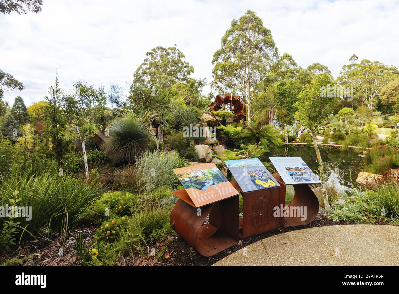 A late autumn afternoon in Dandenong Ranges Botanic Garden at Chelsea ...