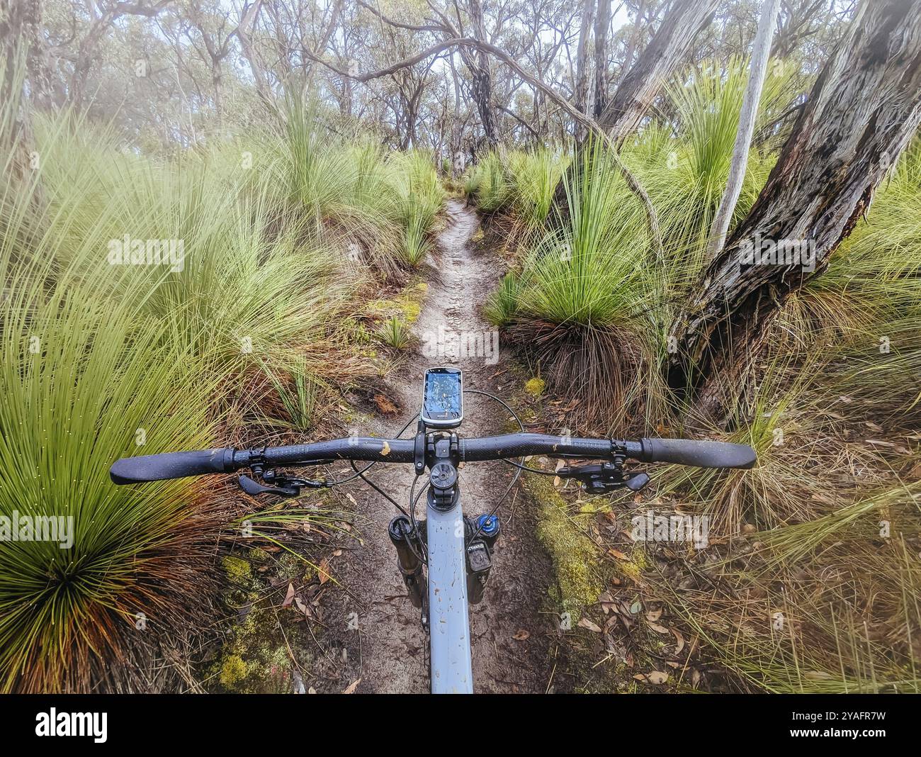 The popular Anglesea mountain bike park near Eumeralla Scout Camp in ...