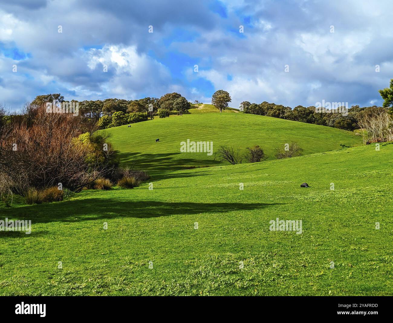 Country victoria sport hi-res stock photography and images - Alamy