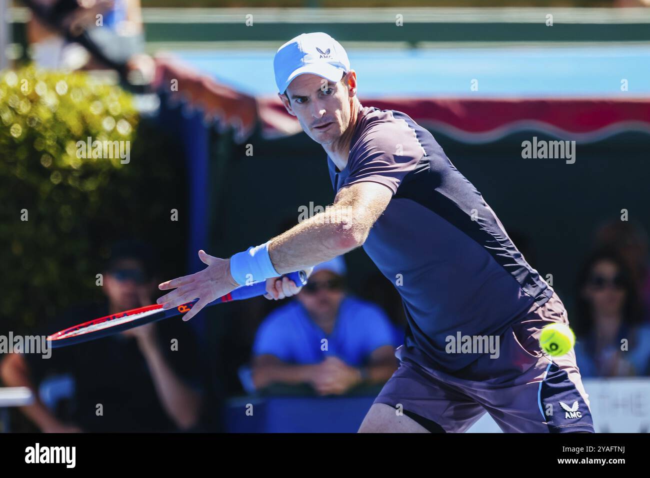 MELBOURNE, AUSTRALIA, JANUARY 11: Sir Andy Murray of Great Britain on ...