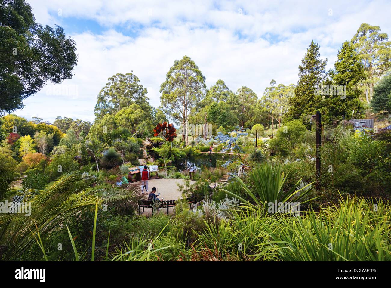 Chelsea australian garden hi-res stock photography and images - Alamy