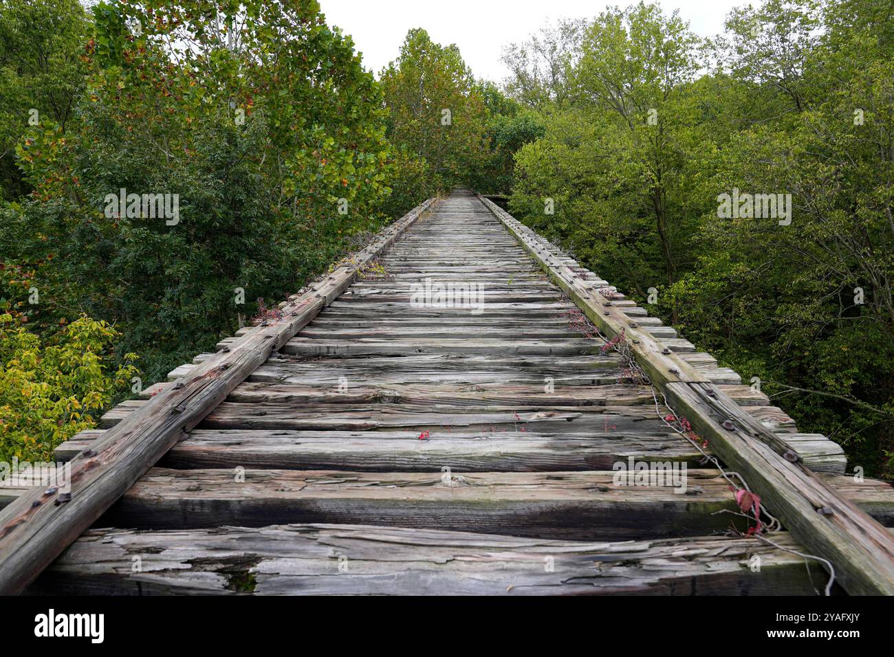 The Monon High Bridge at the end of the Monon High Bridge Trail is shown in Delphi, Ind ...