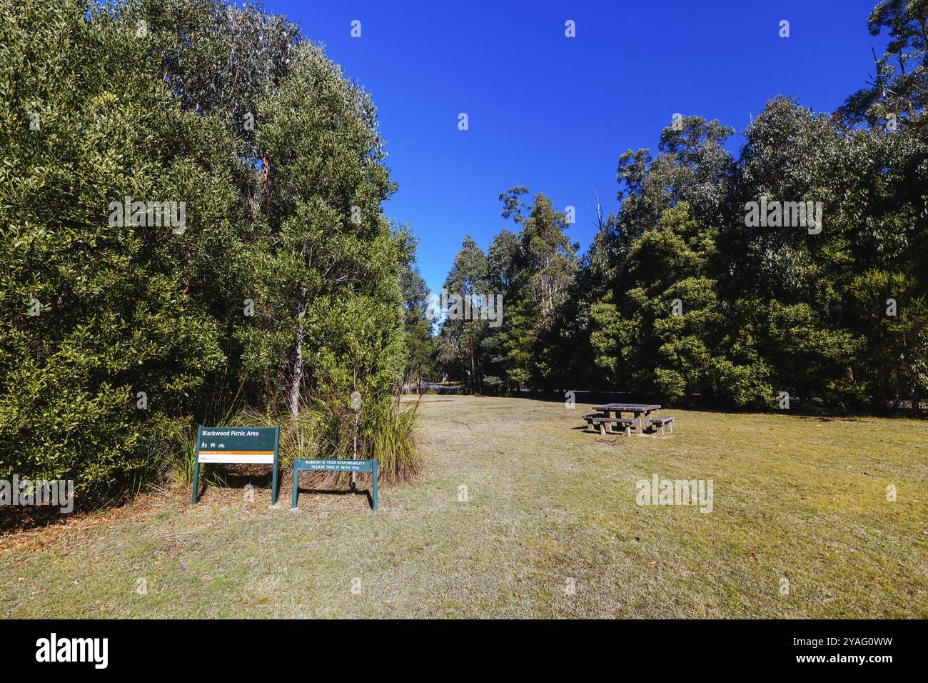 Blackwood Picnic Area and Mount Sugarloaf Ridge Track near Mason Falls ...
