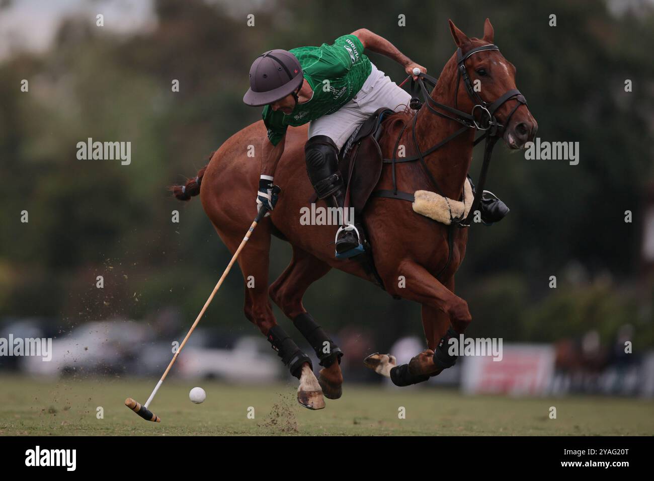 Tortugas open polo hi-res stock photography and images - Alamy
