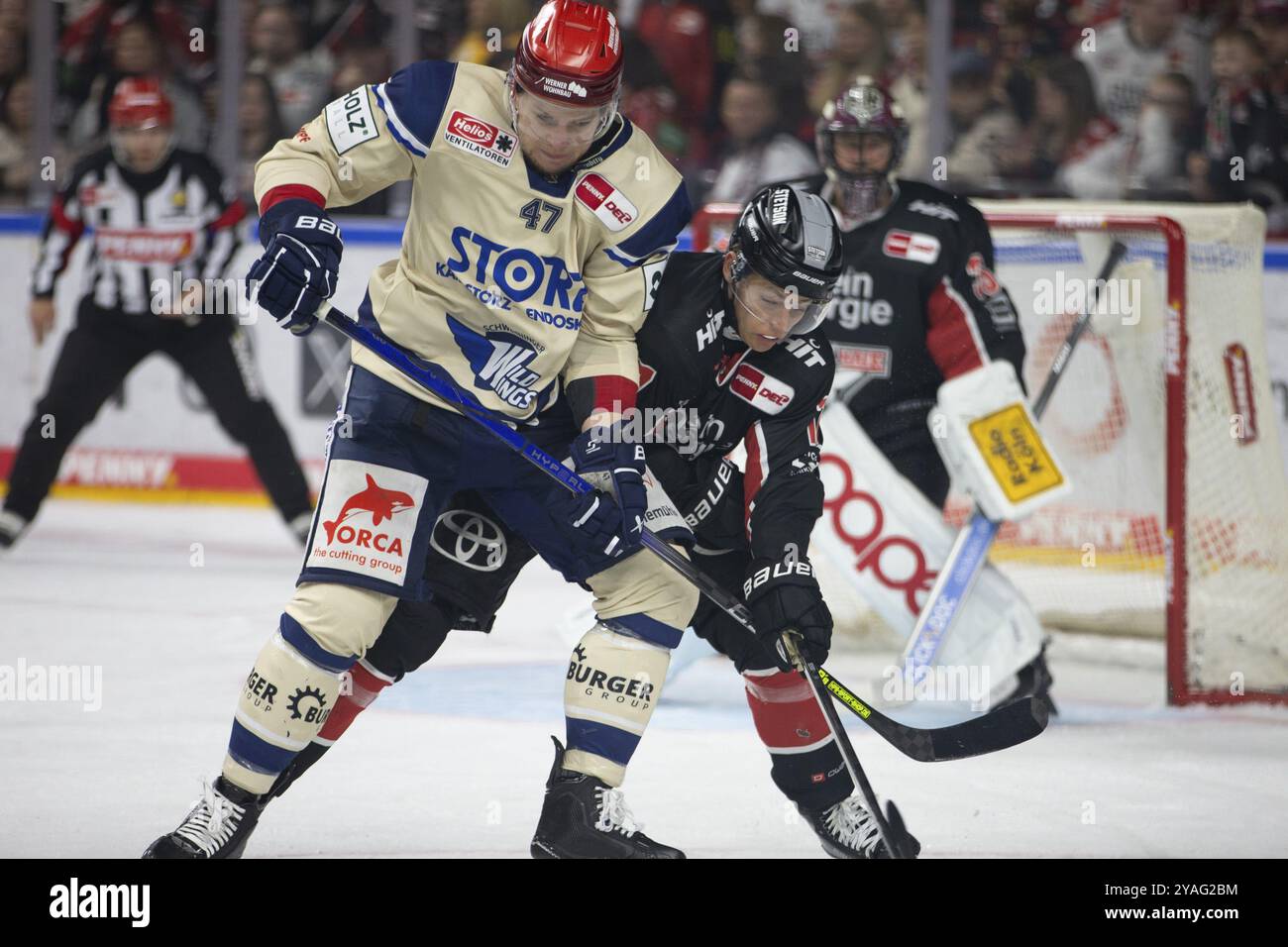 LanxessArena, Cologne, North Rhine-Westphalia, Alexander Karachun ...