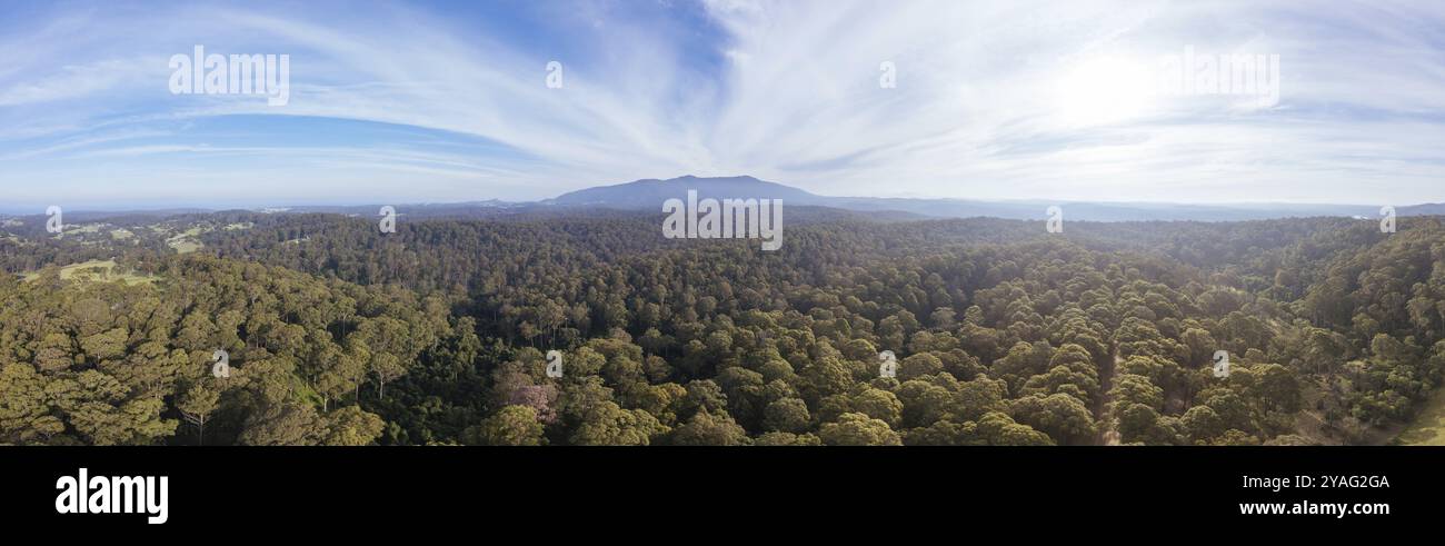 Aerial view near Central Tilba of Mount Dromedary in Gulaga National ...