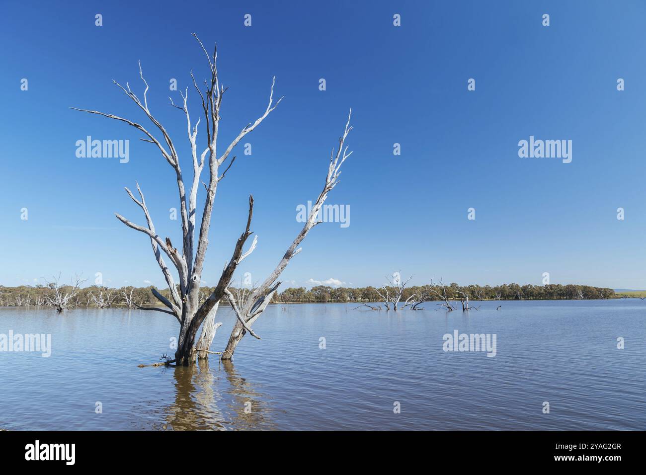 Okeefe rail trail hi-res stock photography and images - Alamy
