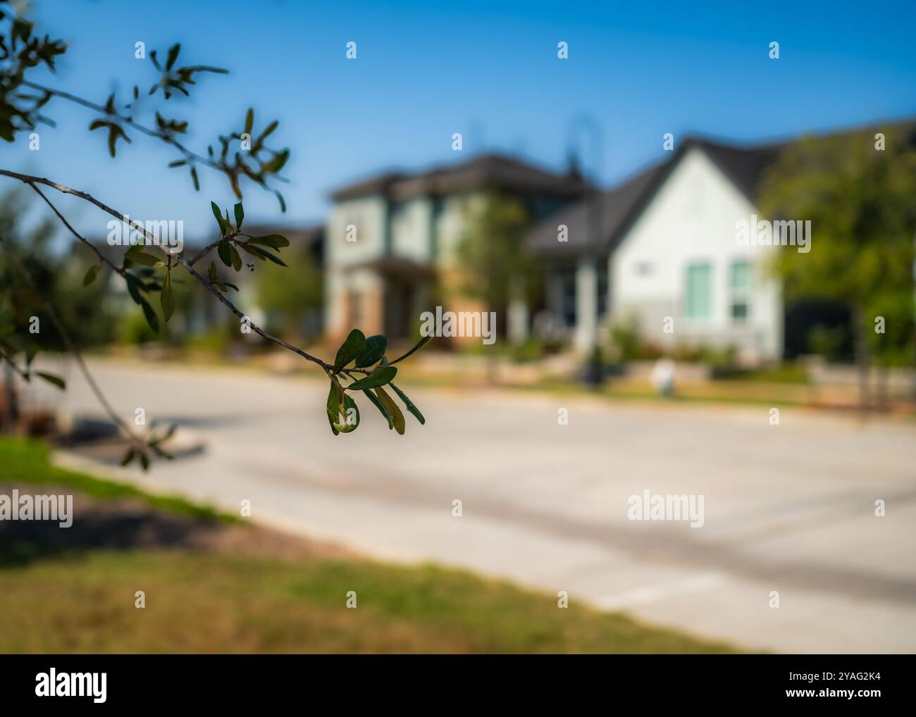 Neighborhood landscape hi-res stock photography and images - Alamy