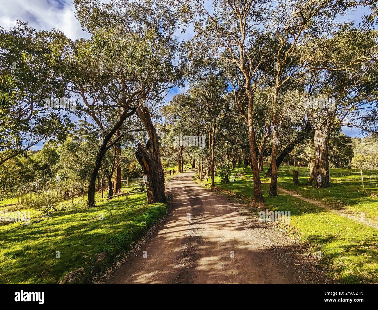 Australian rural country scene at the base of Kinglake near Arthurs ...