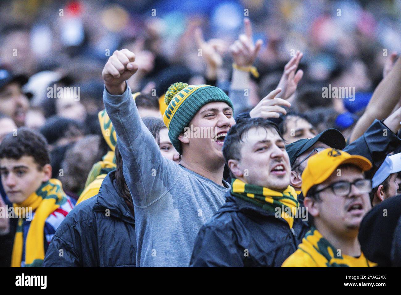 MELBOURNE, AUSTRALIA, AUGUST 12: Australian supporters at the Melbourne ...