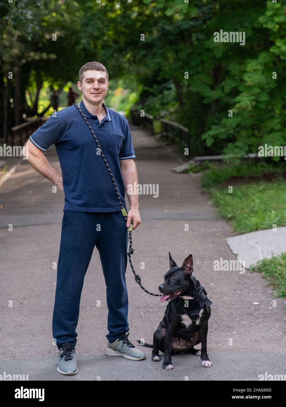 Pitbull aggressive jump hi-res stock photography and images - Alamy