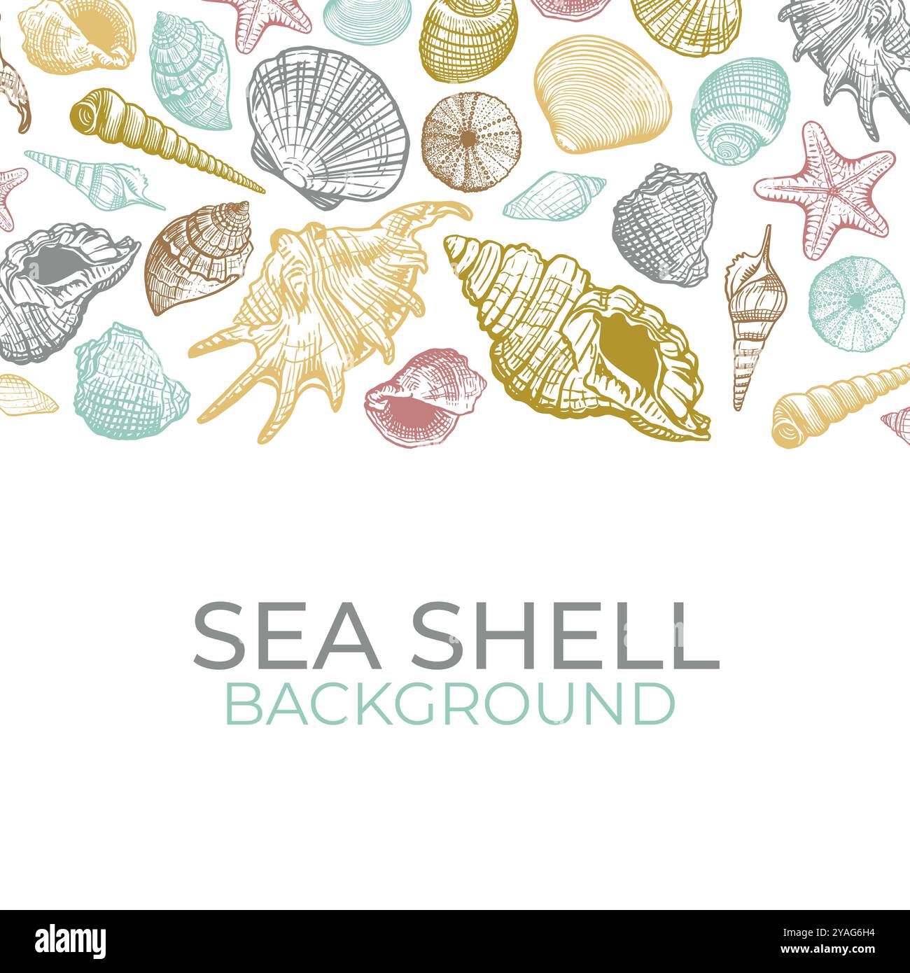 Sea shells frame Stock Vector Images - Alamy