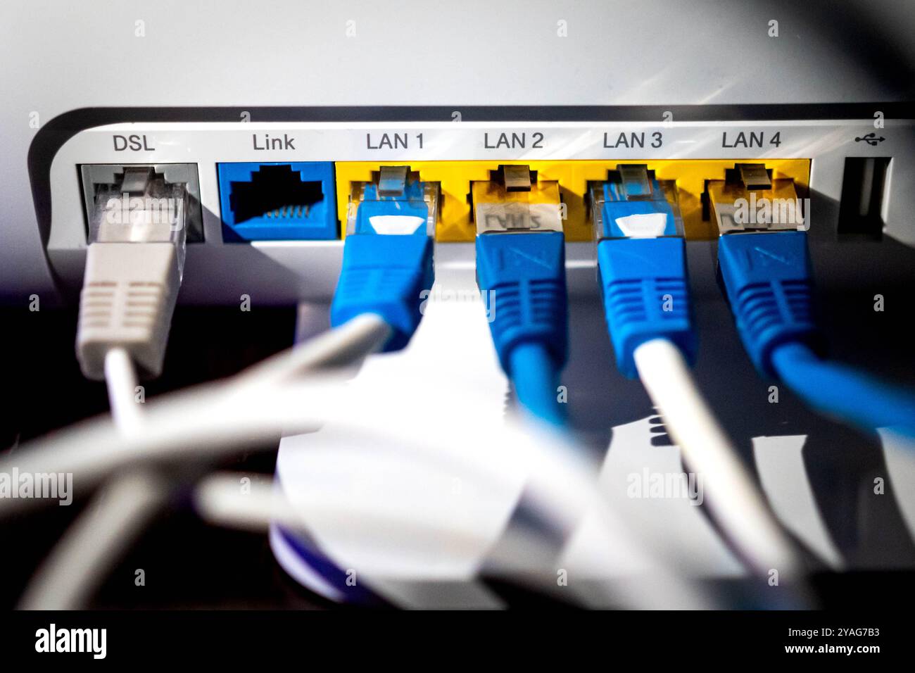 14 October 2024, Bremen: ILLUSTRATION - Numerous network cables (LAN ...