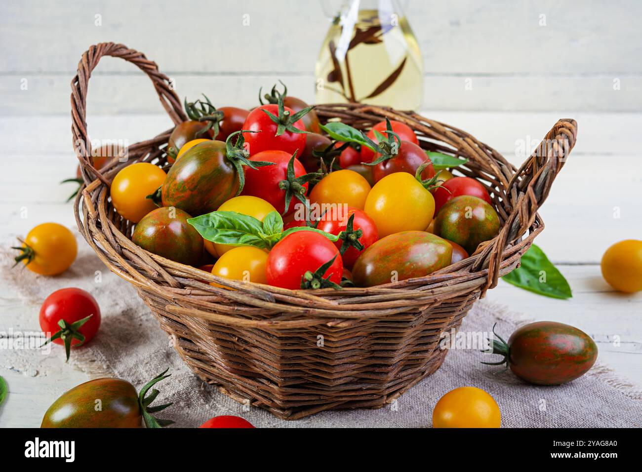 Multi-colored tomatoes in wickerwork basket. Different types of fresh ...