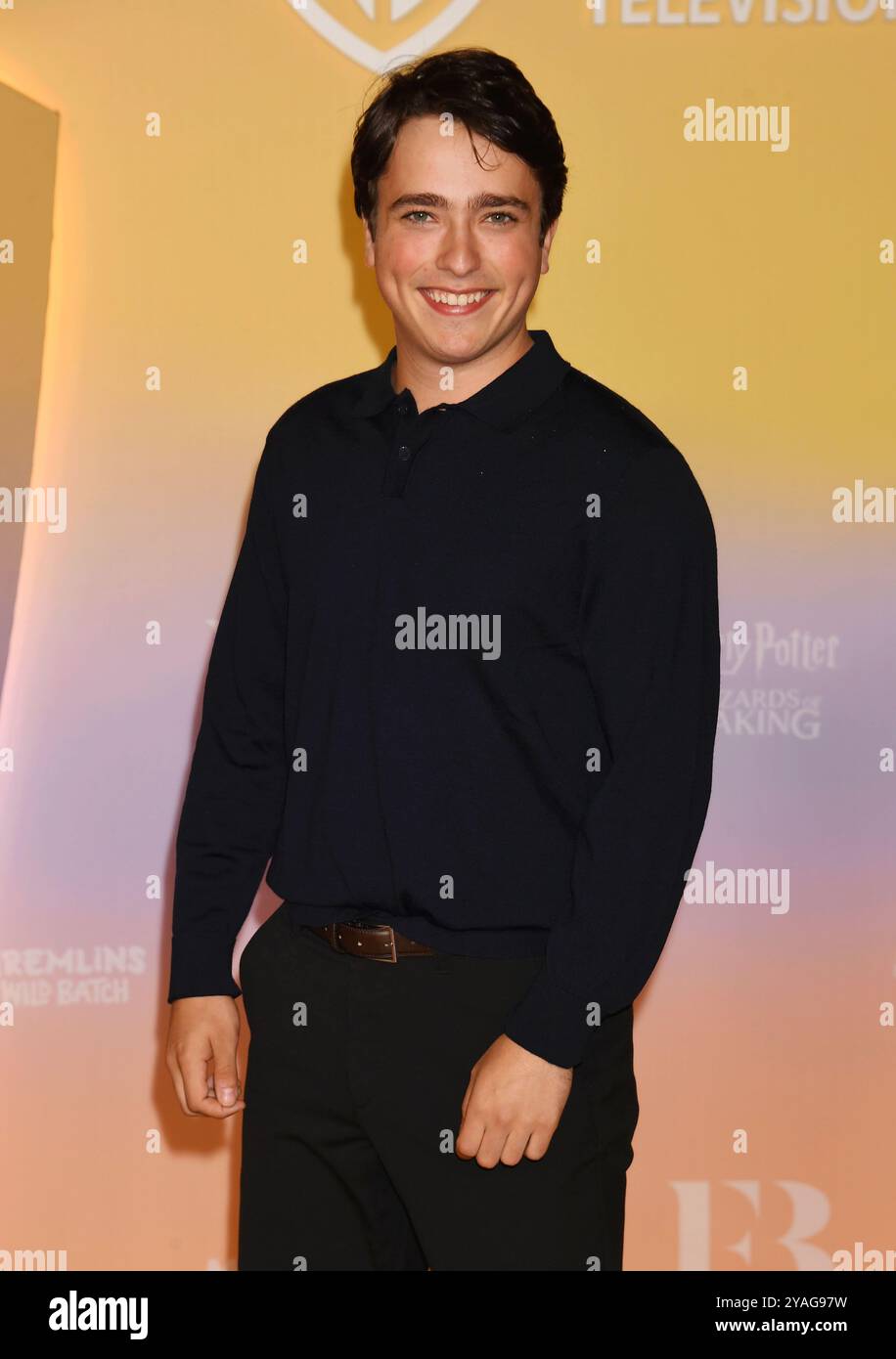 LOS ANGELES, CALIFORNIA - OCTOBER 10: Alex Garfin attends the Warner ...