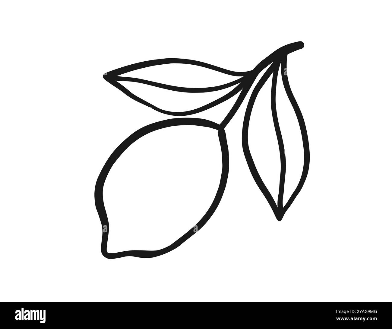 Lemon Branch Sketch Outline Doodle Citrus Icon Stock Vector Image & Art ...