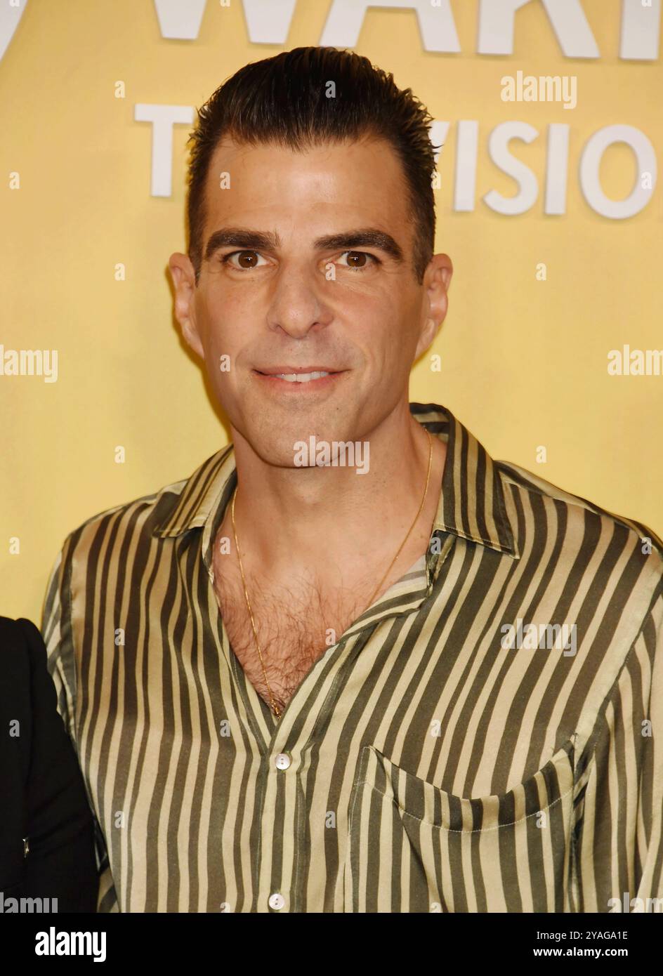 LOS ANGELES, CALIFORNIA - OCTOBER 10: Zachary Quinto attends the Warner ...