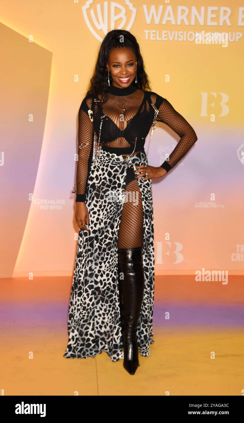 LOS ANGELES, CALIFORNIA - OCTOBER 10: Tamberla Perry attends the Warner ...
