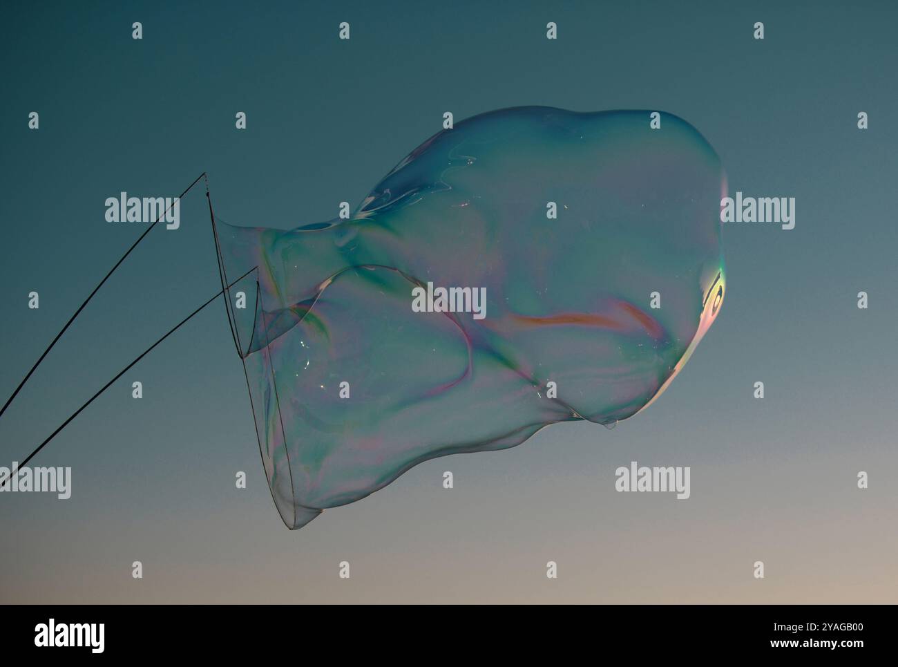 Giant colorful bubble. Big soap bubble on blue sky. Making huge rope ...