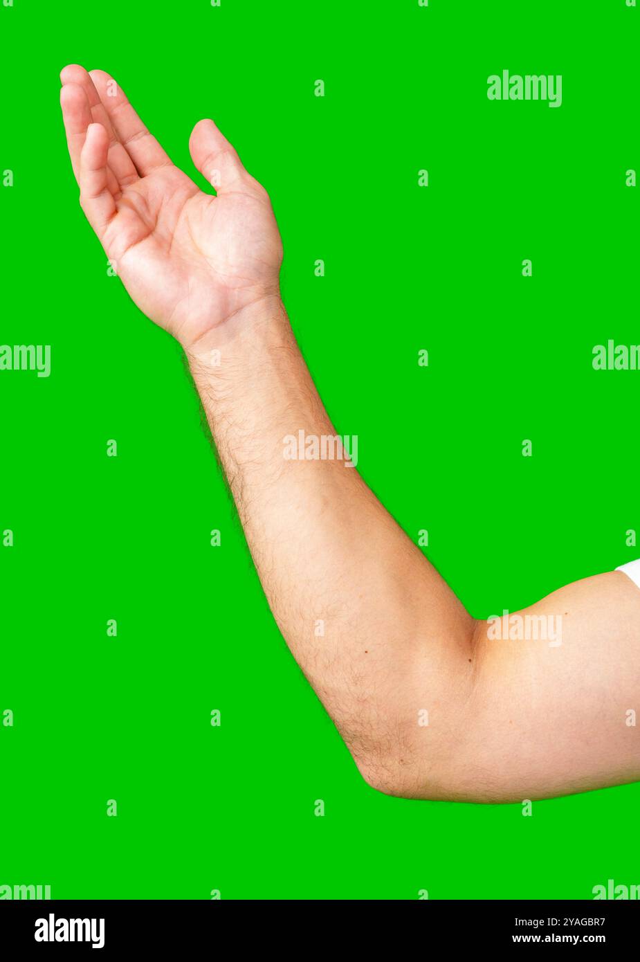 human arm gesturing with raised fingers against a bright green backdrop ...