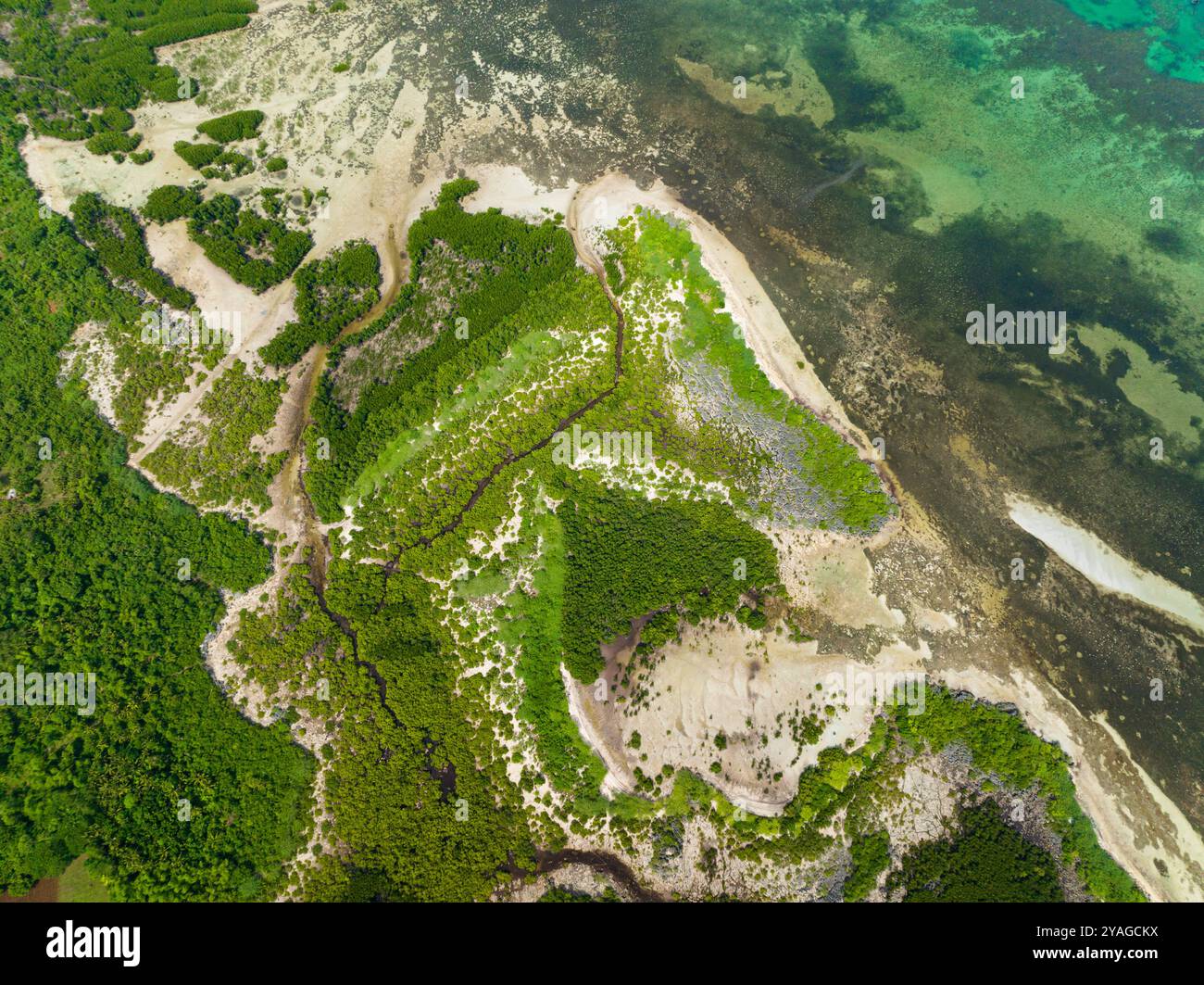 Aerial view of Mangroves on a tropical island. Mangrove landscape ...