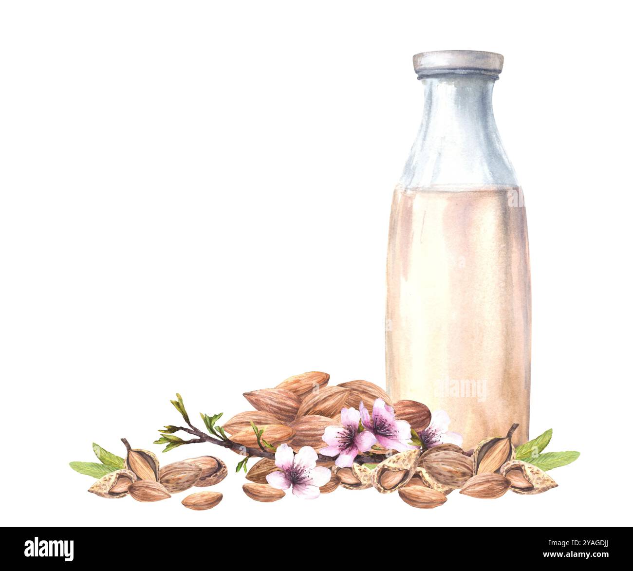 Almond Milk. Glass bottle with nuts, almond tree branch with flowers ...