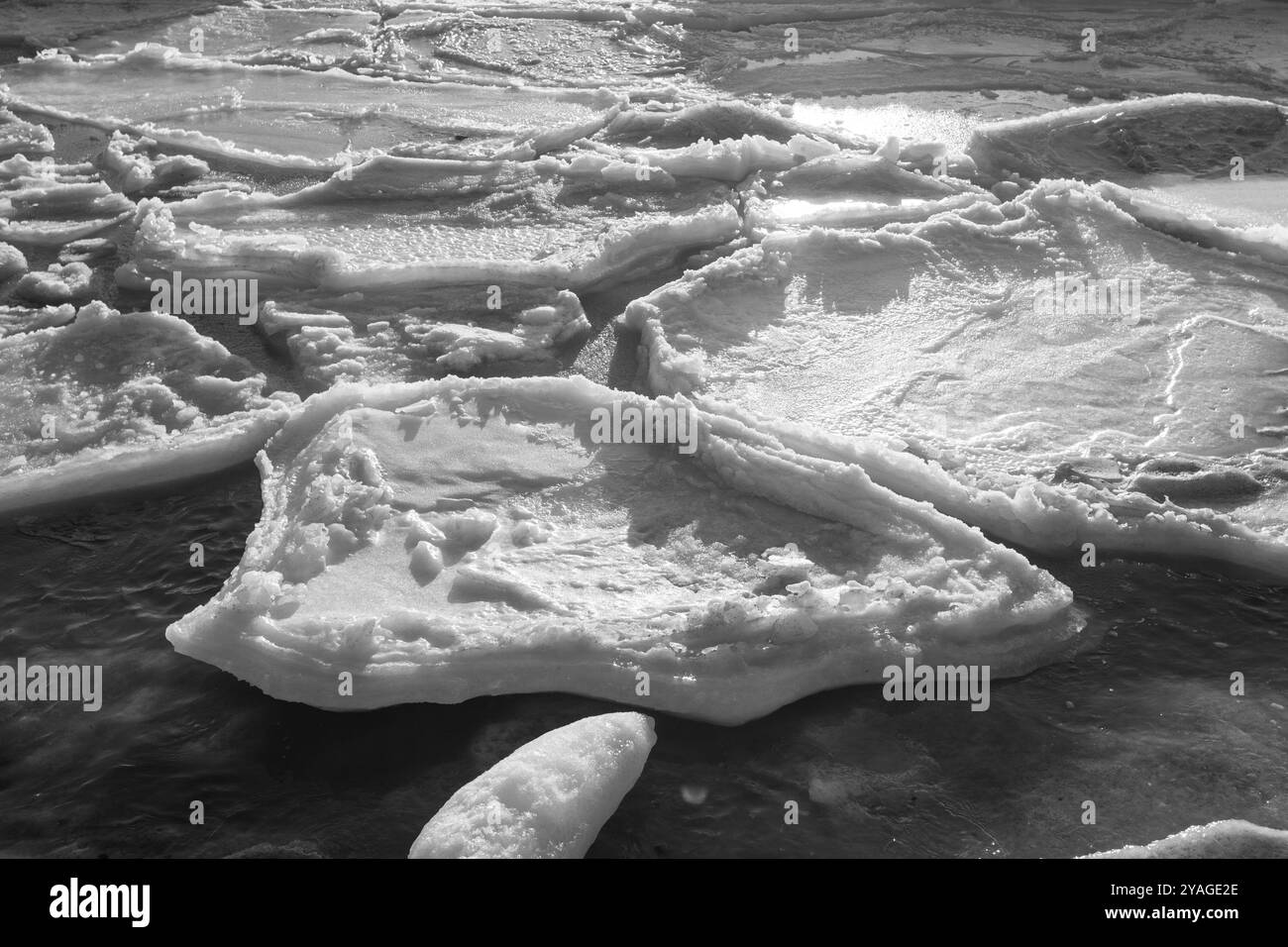 Ice pancake Black and White Stock Photos & Images - Alamy