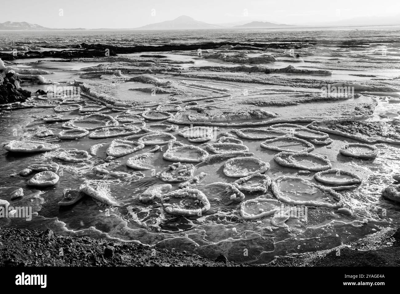 pancake ice forming in Ross Sea, Antarctica Stock Photo - Alamy
