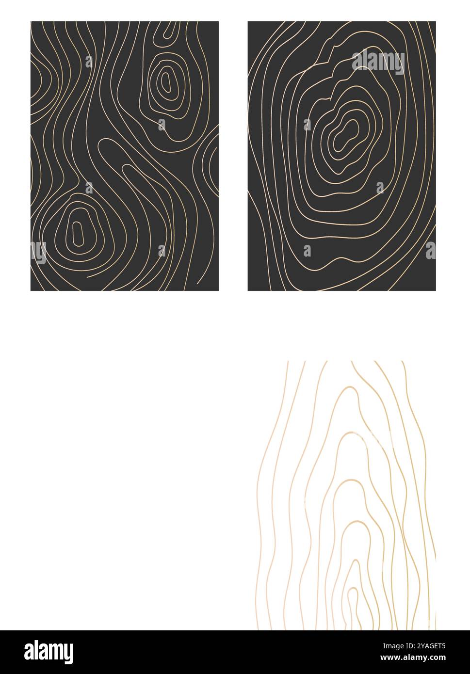 Golden thin line tree ring collection. Elegant gold wooden section ...