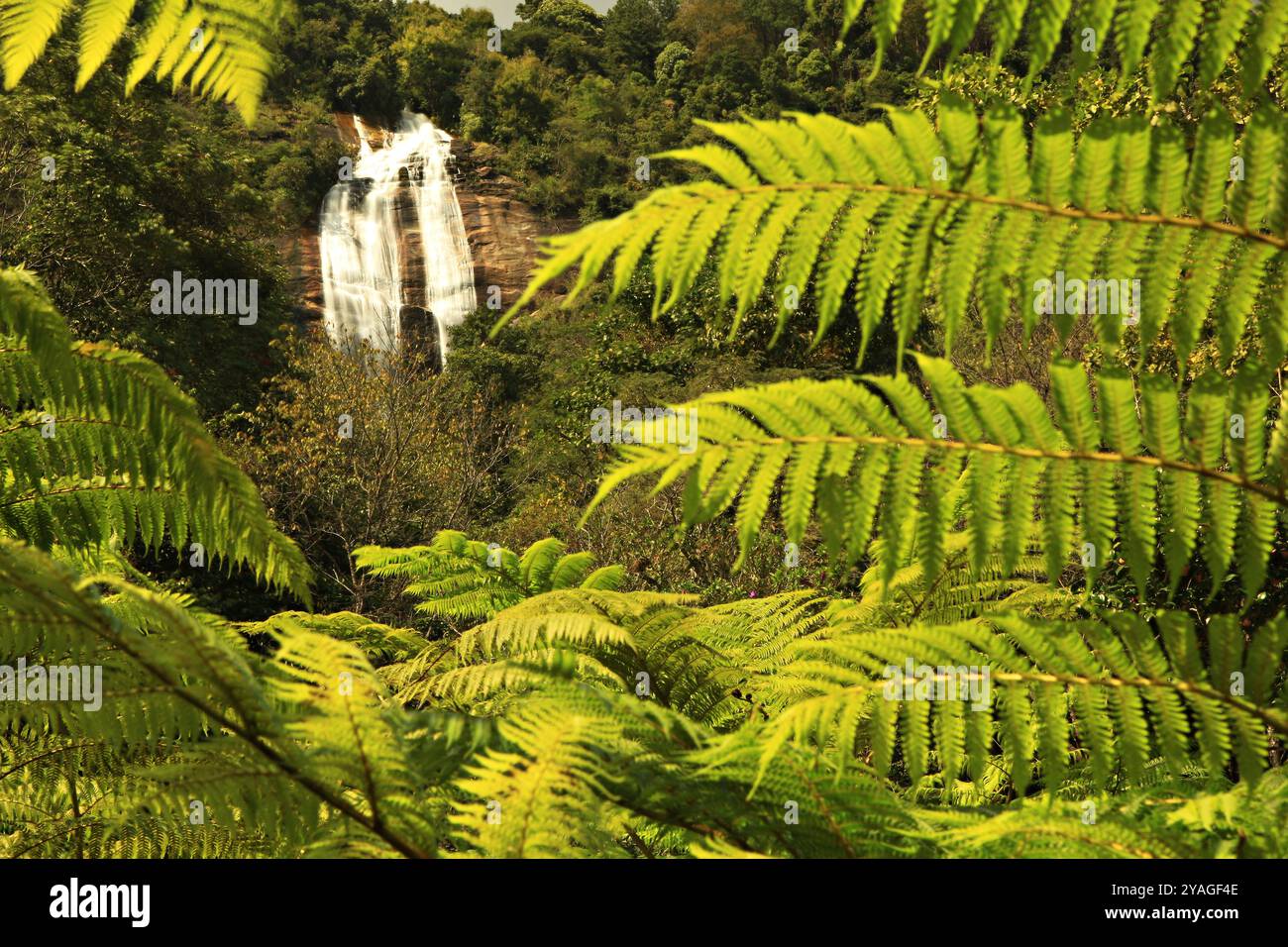 Beautiful nature of Siri Phum Waterfall on Doi Inthanon National Park ...