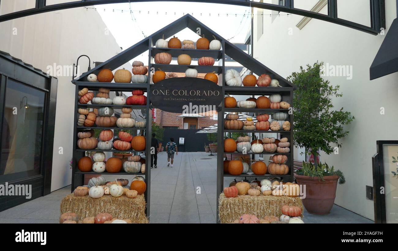 Pasadena, California, USA 10th October 2024 Pumpkins Display for ...
