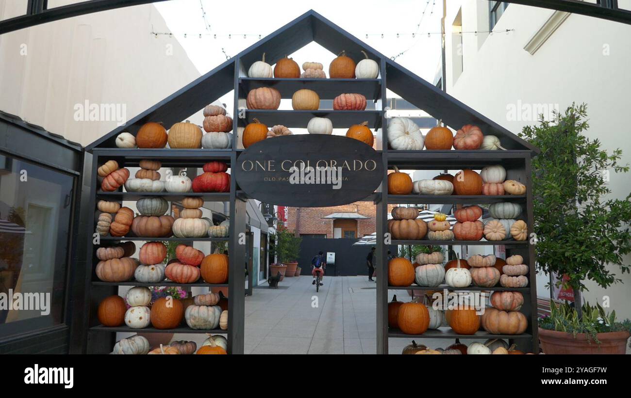 Pasadena, California, USA 10th October 2024 Pumpkins Display for ...