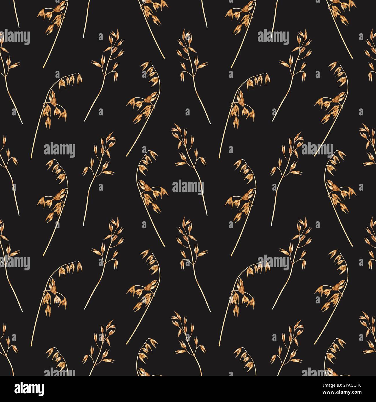 Watercolor seamless pattern with oat plants, edible starchy grains ...