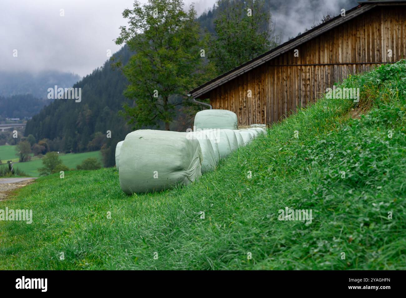 Harvesting hay for the winter hi-res stock photography and images - Alamy