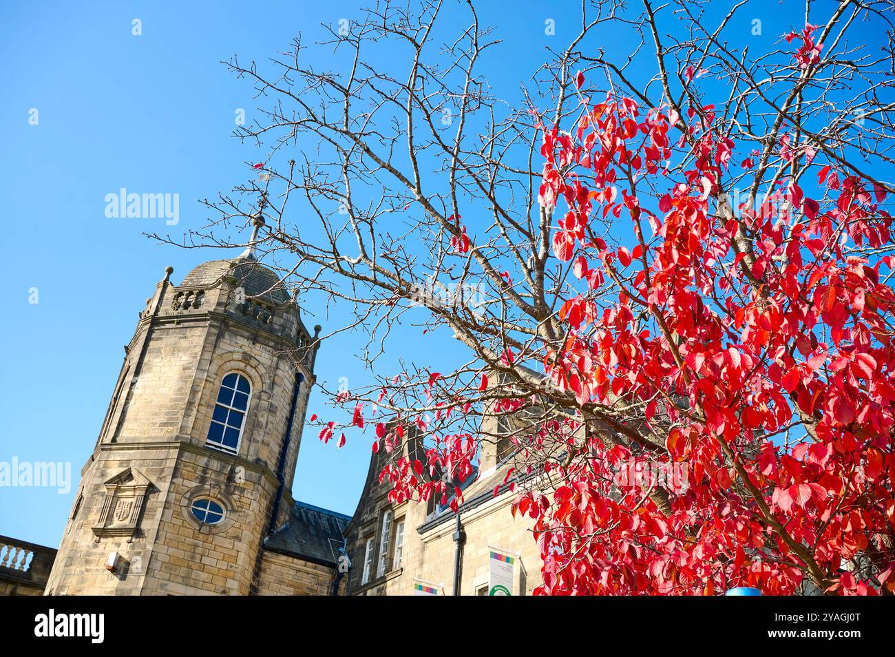 Infirmary structure hi-res stock photography and images - Alamy