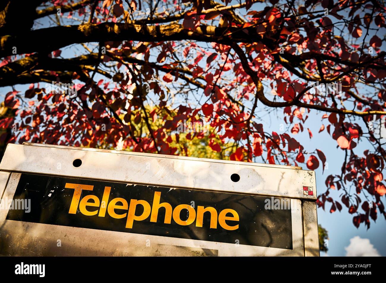 Pink telephone box hi-res stock photography and images - Alamy