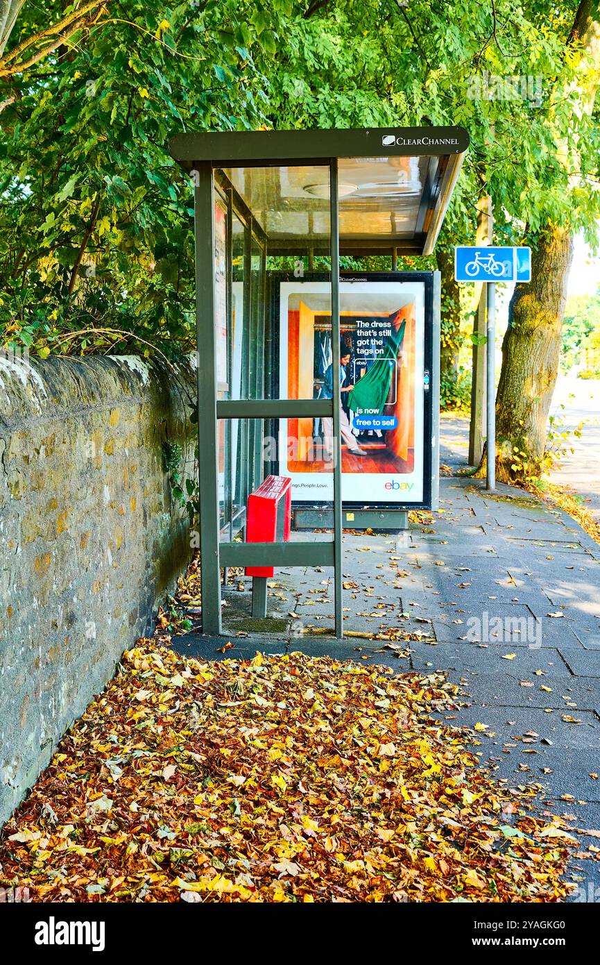Bus shelter trees hi-res stock photography and images - Alamy