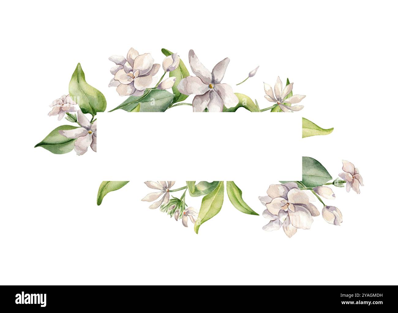 Floral border with jasmine blooms in watercolor illustration isolated ...