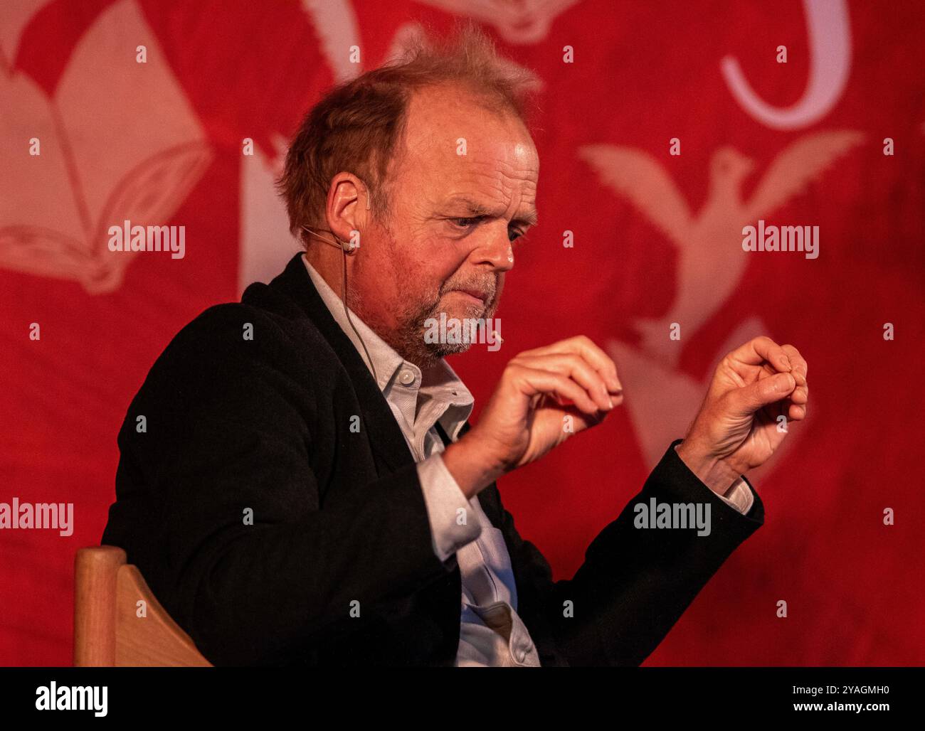 Actor Toby Jones at a 2024 Flipside Festival Q&A, recently noted for Mr ...