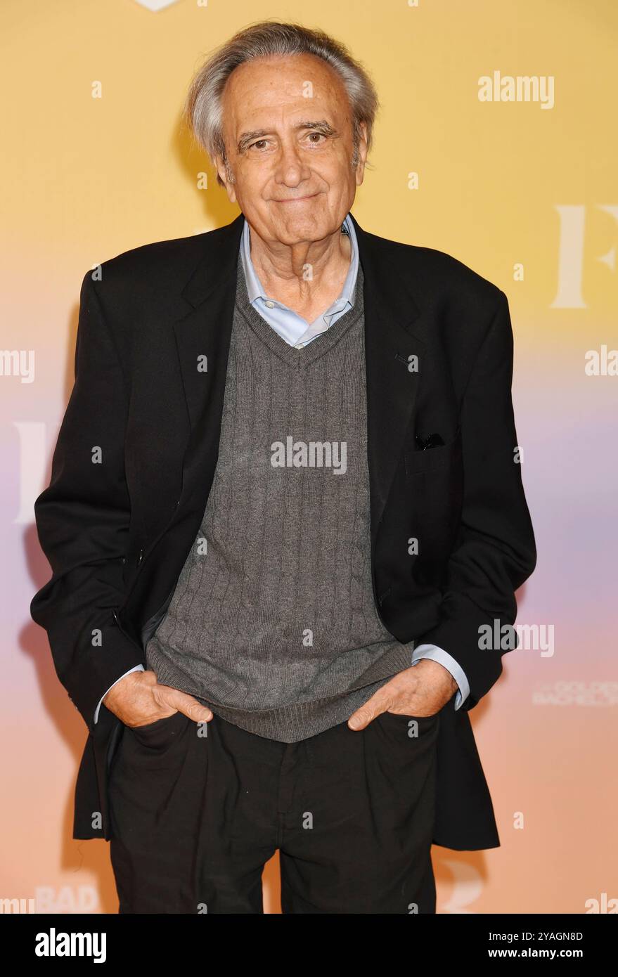 LOS ANGELES, CALIFORNIA - OCTOBER 10: Joe Dante attends the Warner Bros ...