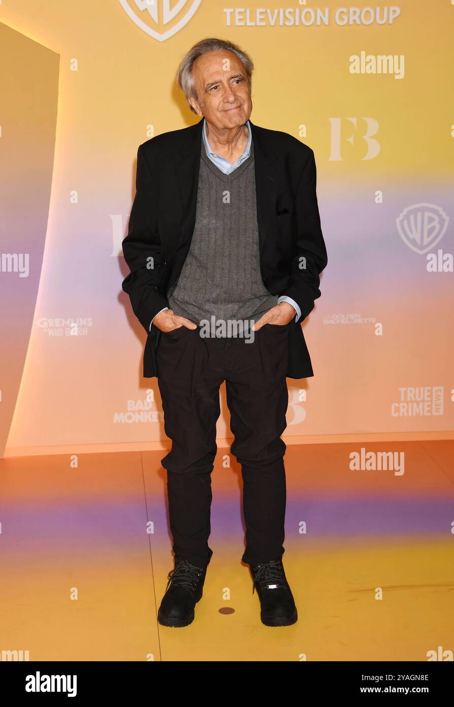 LOS ANGELES, CALIFORNIA - OCTOBER 10: Joe Dante attends the Warner Bros ...