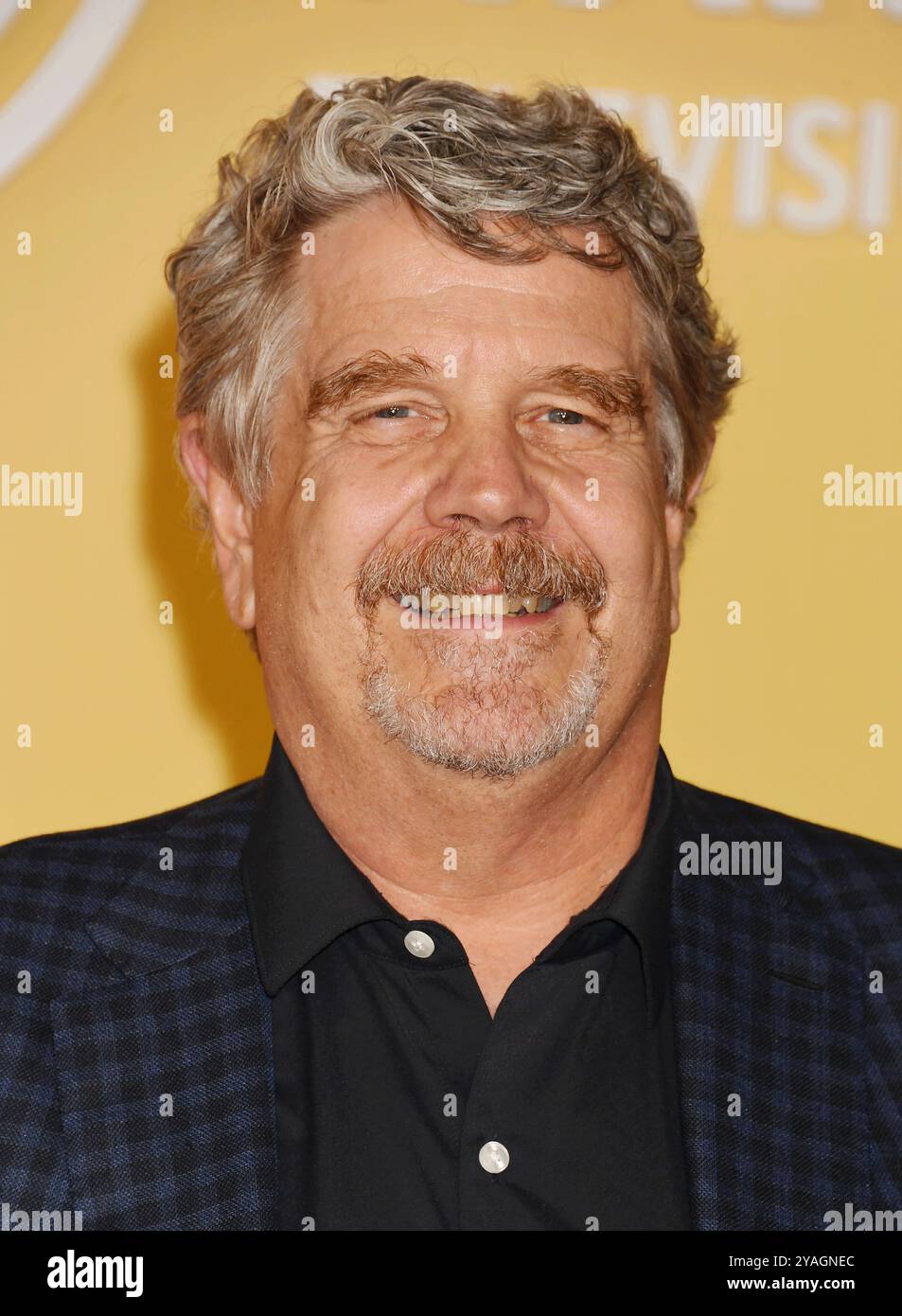 LOS ANGELES, CALIFORNIA - OCTOBER 10: John Wells attends the Warner ...