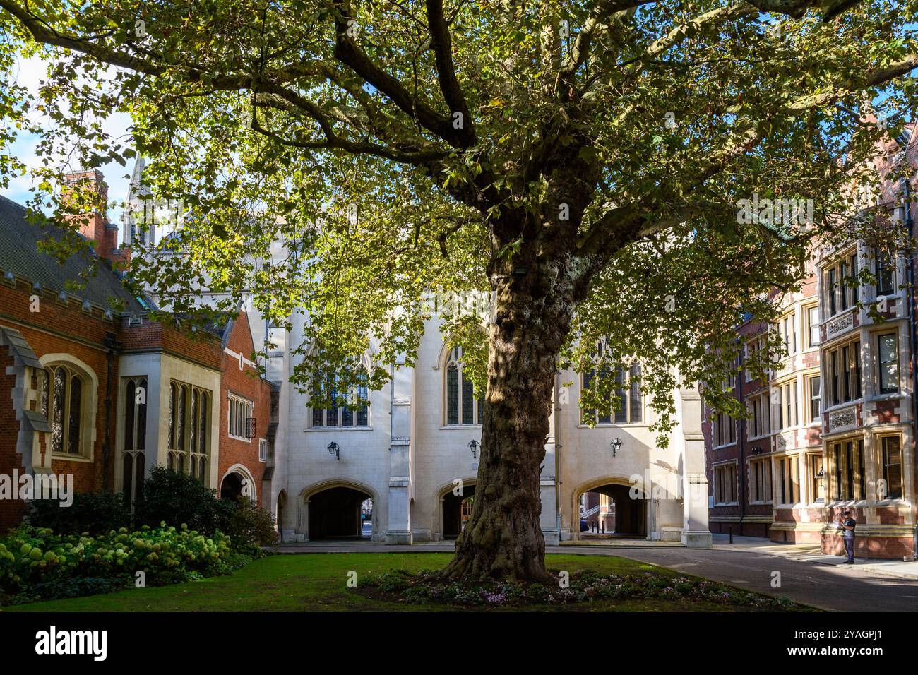 Lincoln's inn fields barrister hi-res stock photography and images - Alamy