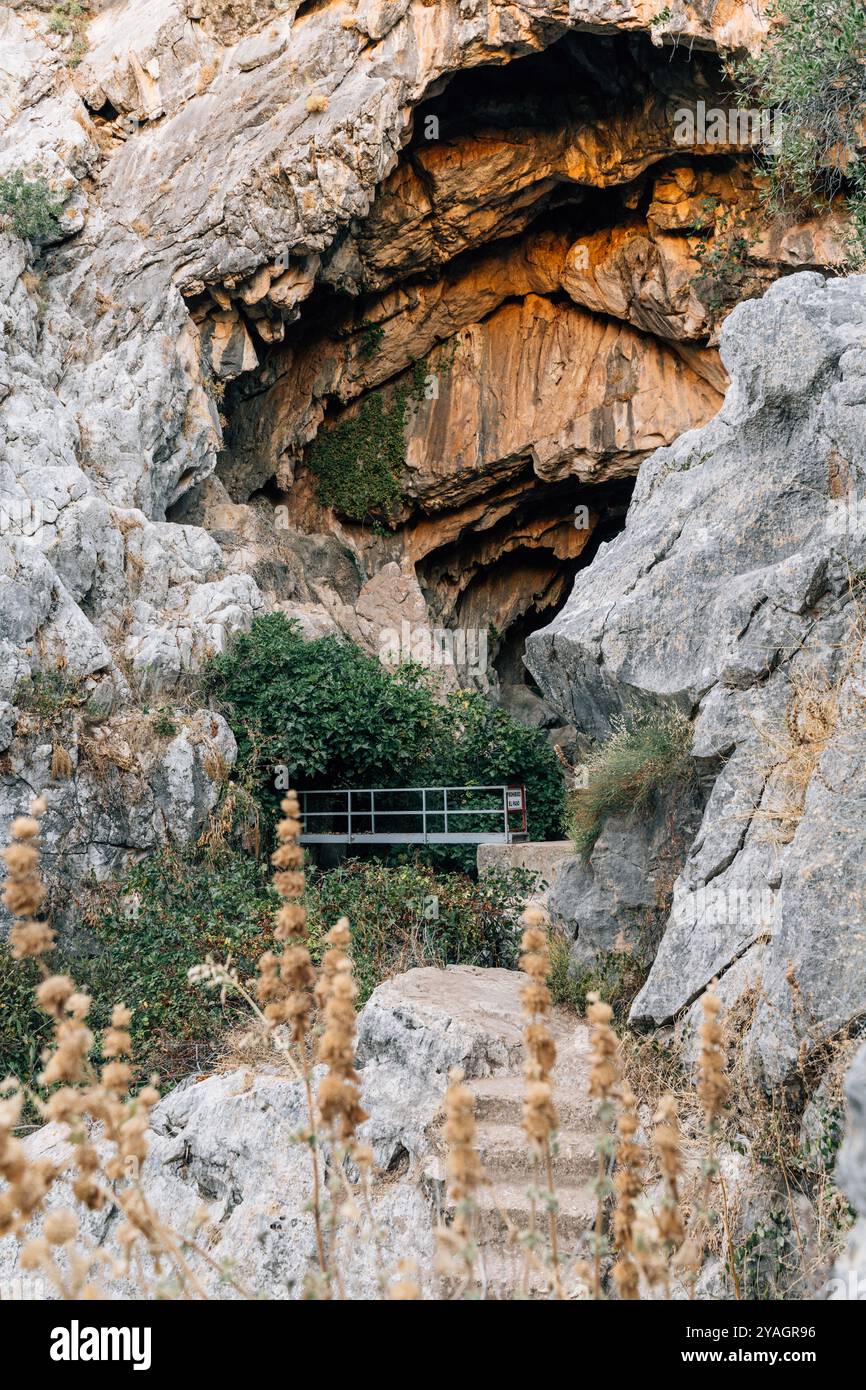 Natural cave entrance with rugged rocky formations and green plants ...