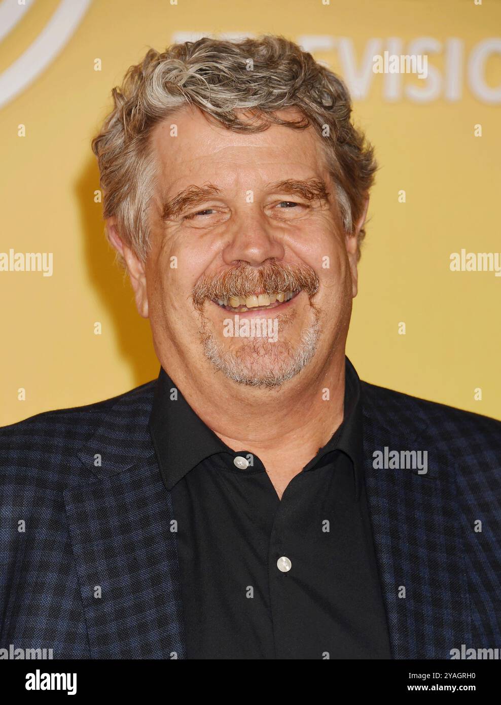 LOS ANGELES, CALIFORNIA - OCTOBER 10: John Wells attends the Warner ...