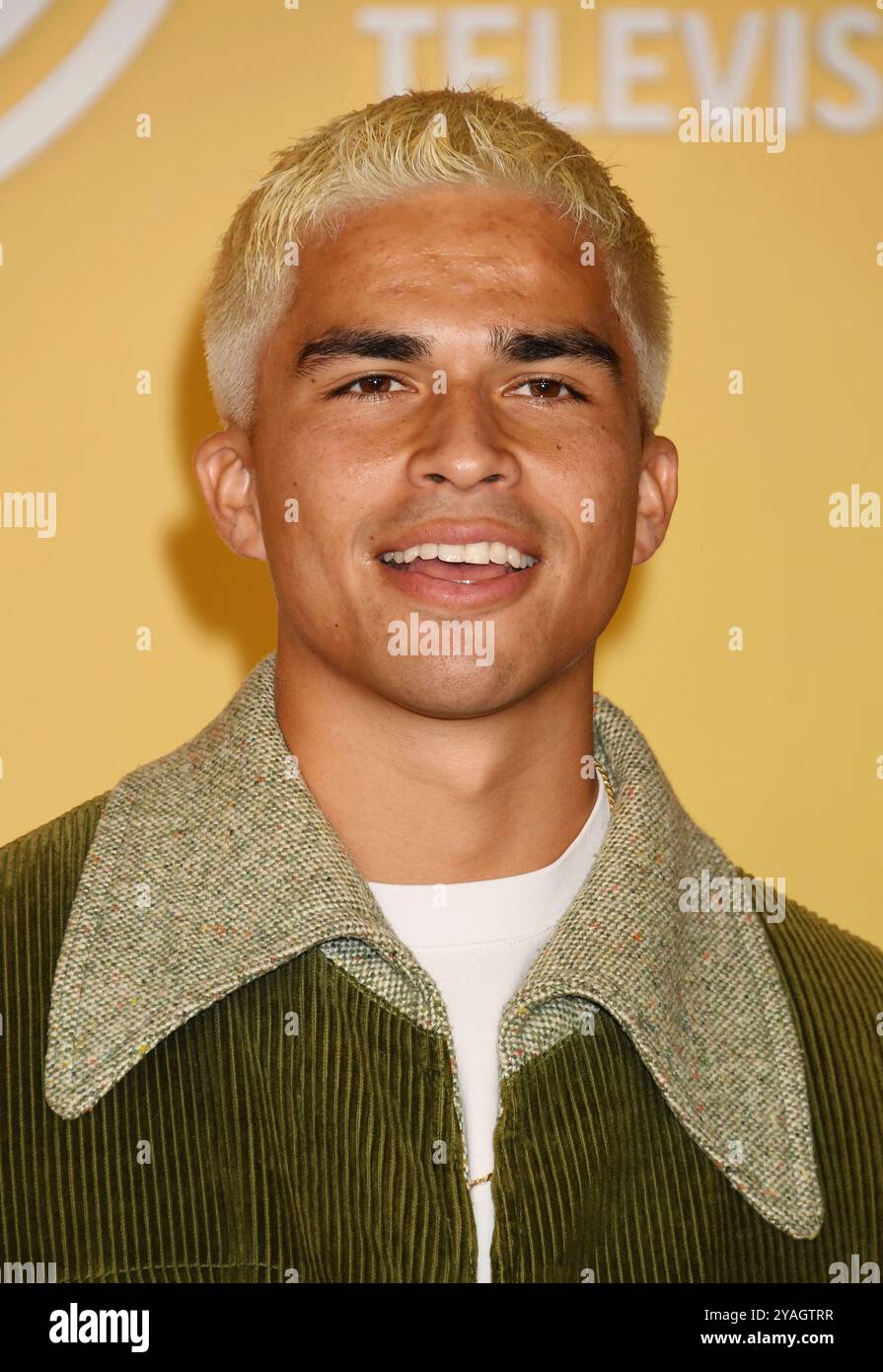 LOS ANGELES, CALIFORNIA - OCTOBER 10: Alex Aiono attends the Warner ...