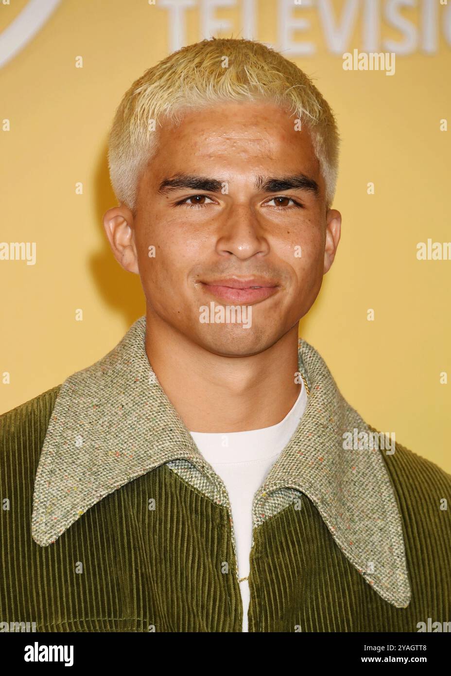 LOS ANGELES, CALIFORNIA - OCTOBER 10: Alex Aiono attends the Warner ...