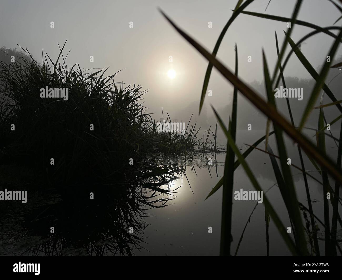 Finokanal hi-res stock photography and images - Alamy