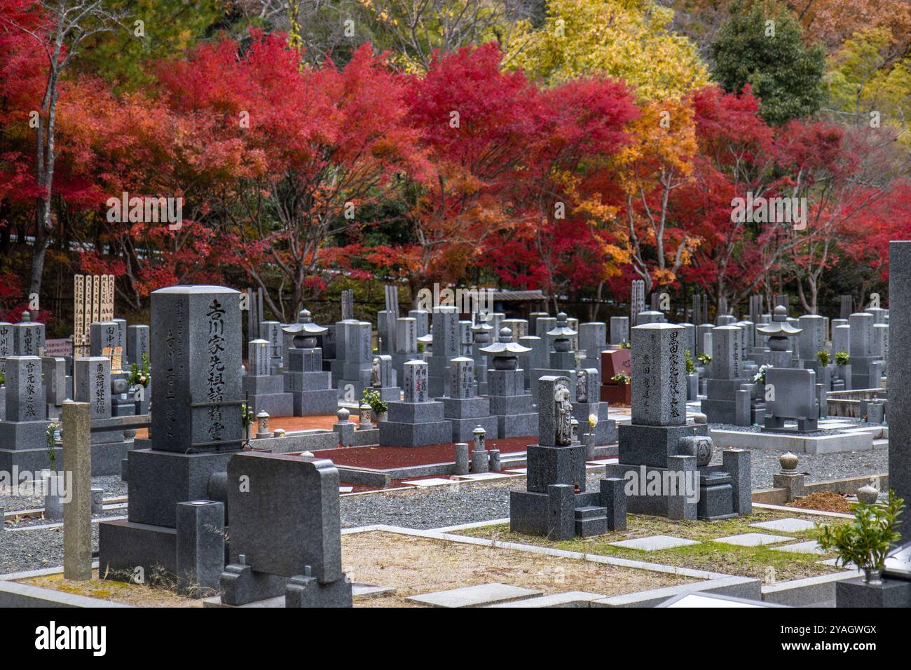 Colorful cemetery nature hi-res stock photography and images - Alamy