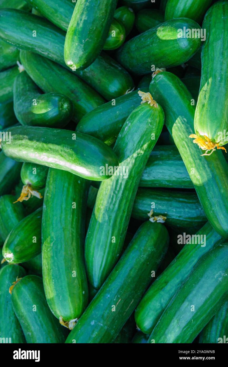 Top view various type hi-res stock photography and images - Alamy